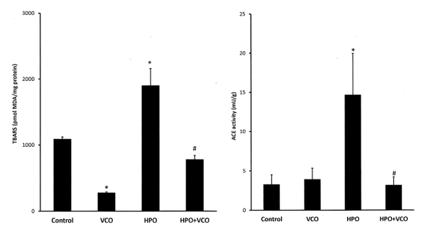 Knowledge: Virgin Coconut Oil (VCO) - Bionutricia Extract
