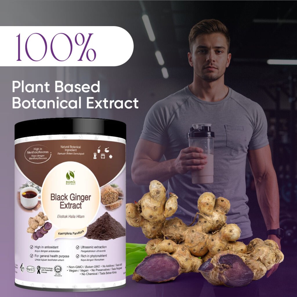 Black Ginger (Kaempferia Parviflora) Standardized Extract Powder ...