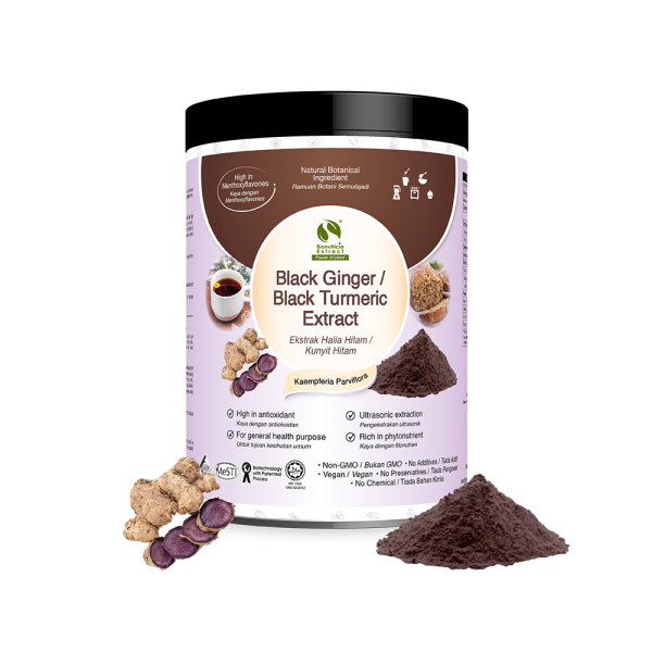 Black Ginger / Black Turmeric (Kaempferia Parviflora) Extract Powder ...